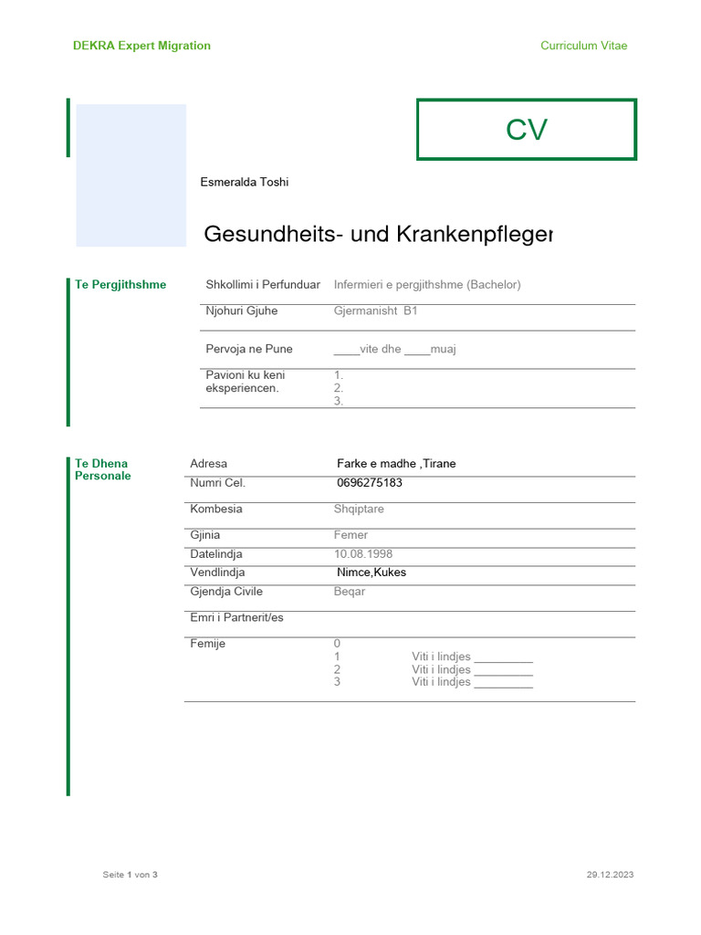 CV Shqip (New Format) - 1 | PDF