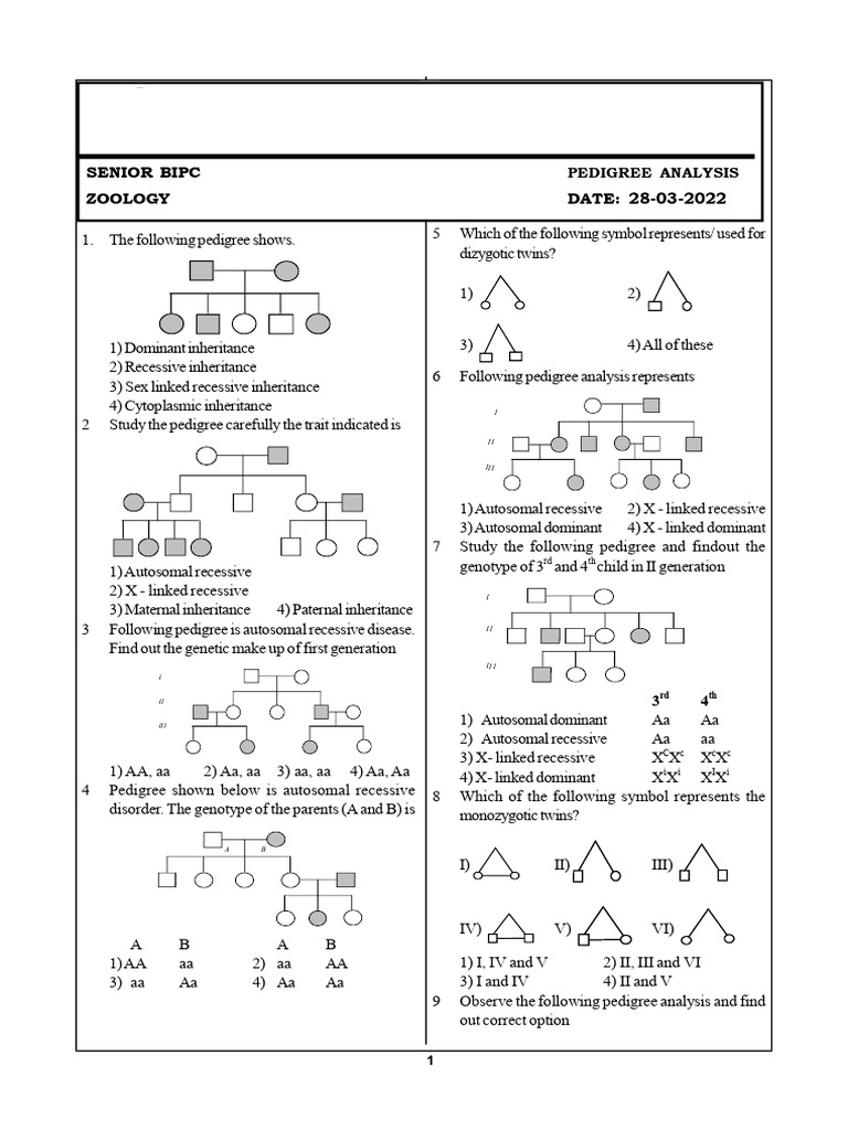 Pedigree Assignment | PDF