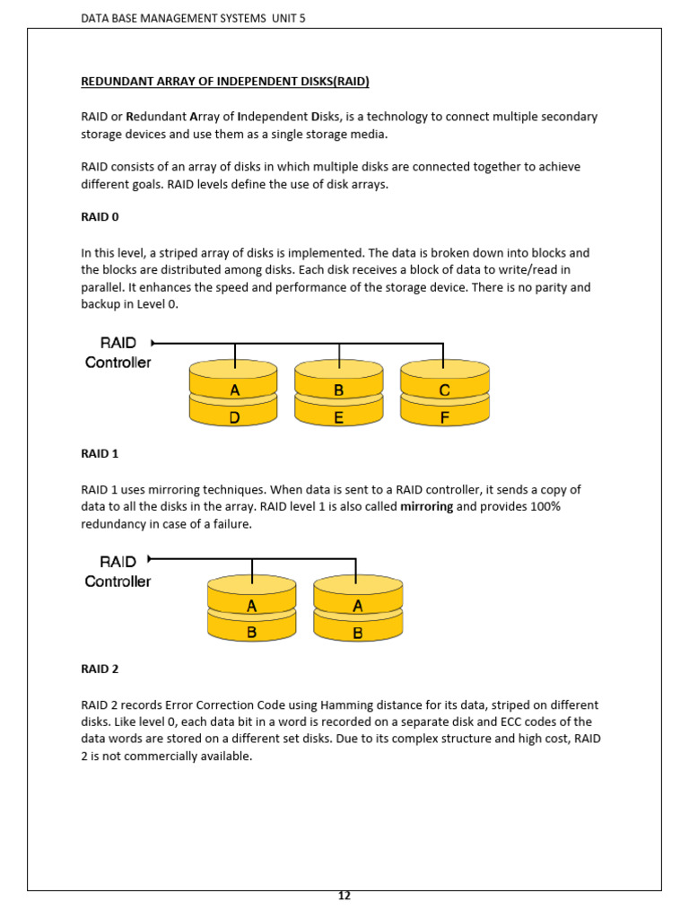 RAID | PDF | Teaching Methods & Materials | Technology & Engineering