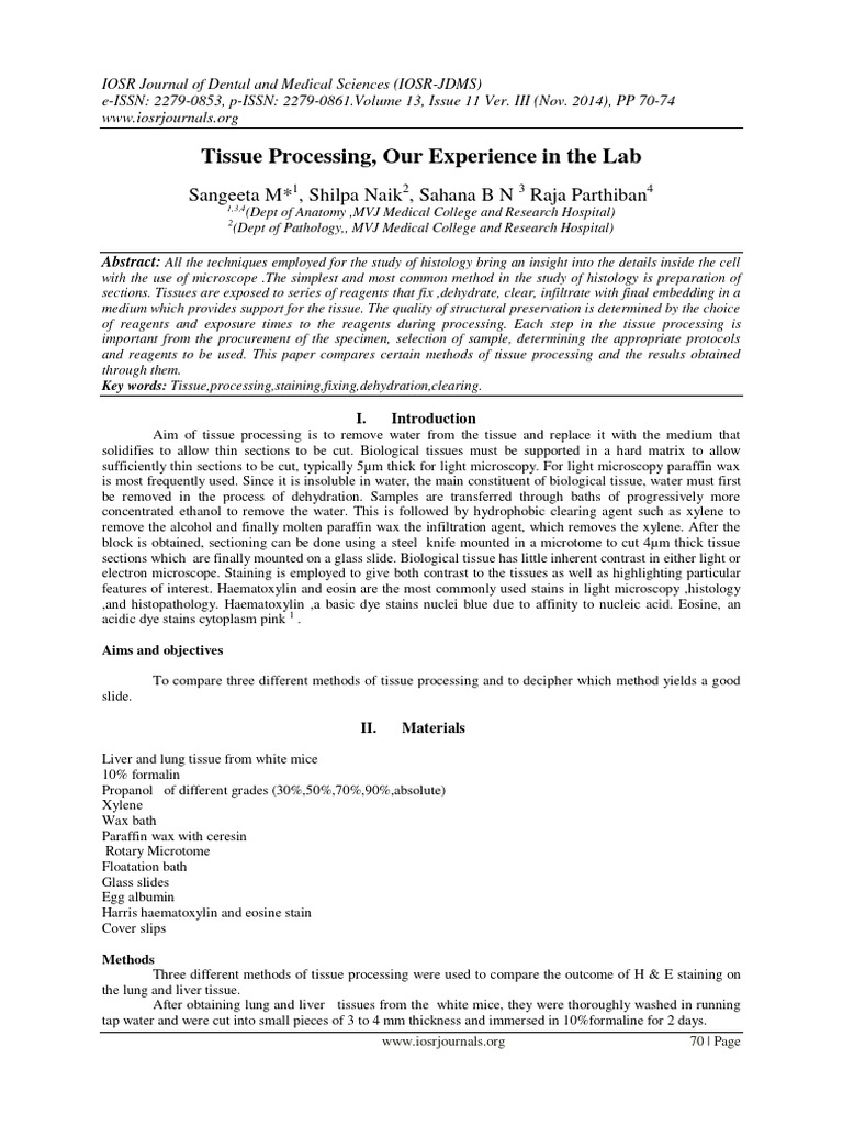 Tissue Processing Our Experience In The Pdf