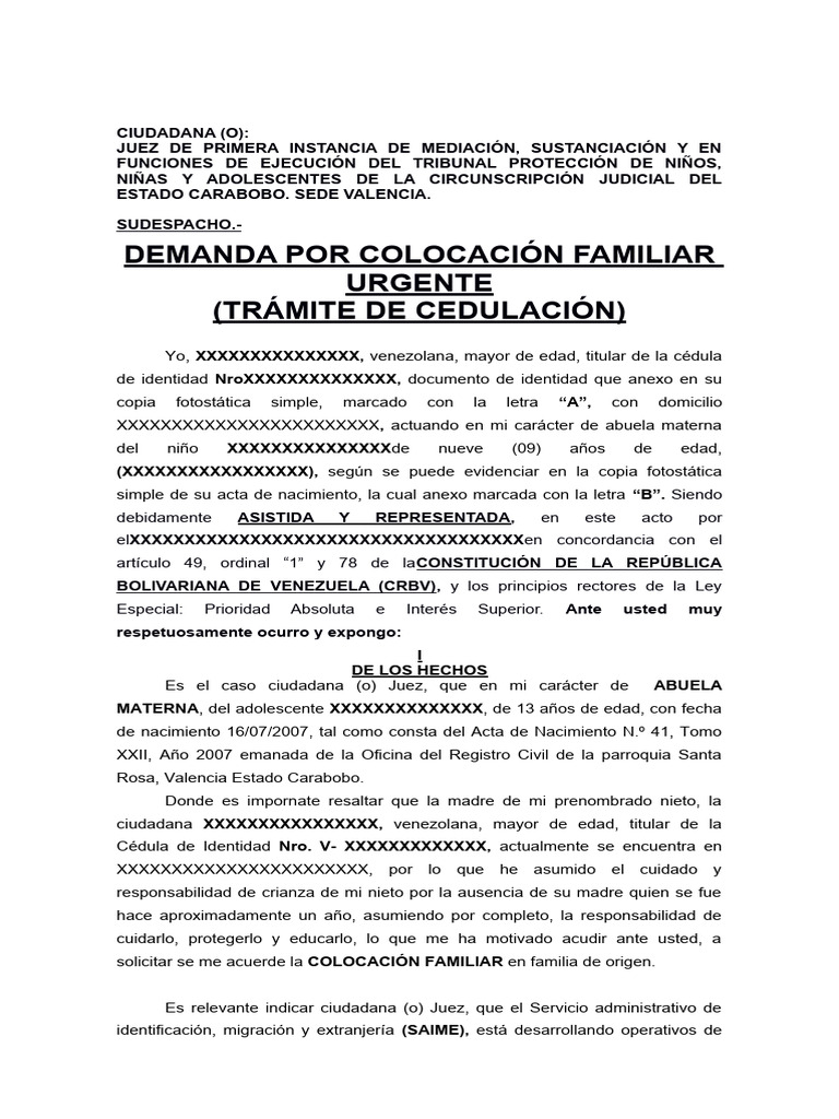 Modelo de Colocacion Familiar | PDF