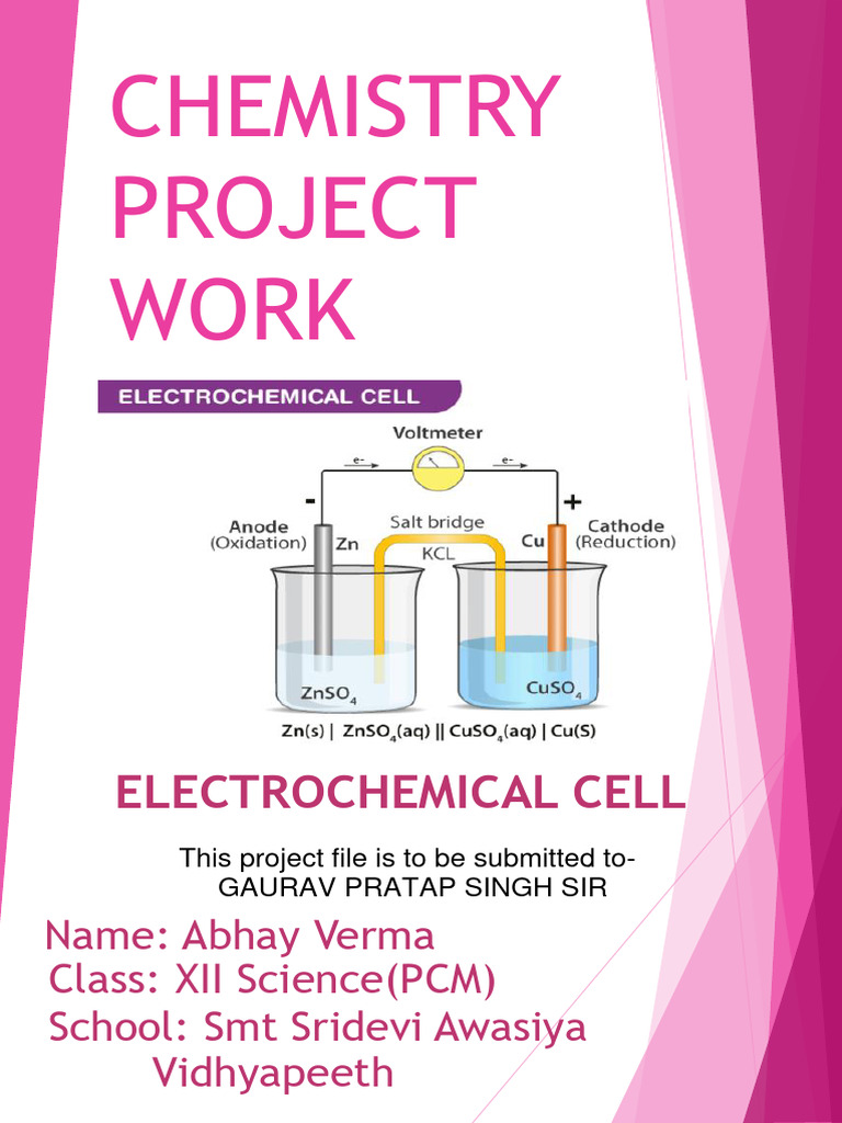 Electrochemical Cell Project File | PDF | Fuel Cell | Electrochemistry
