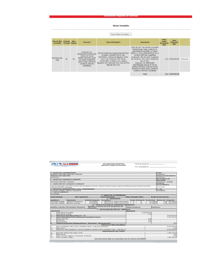 Modelo Declaracion | PDF