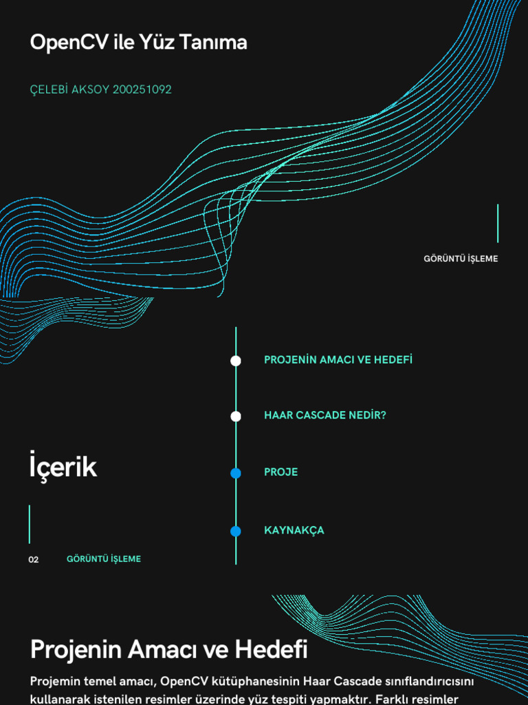 Beyin Tümörü Veri Setleri İle Görüntü İşleme | PDF