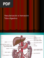 Irrigación Del Esofago | PDF | Tracto gastrointestinal | Estómago
