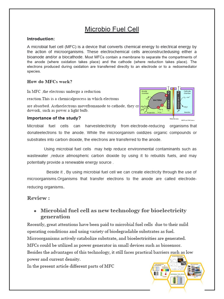 Microbio Fuel Cell 2 | PDF | Chemistry | Physical Sciences