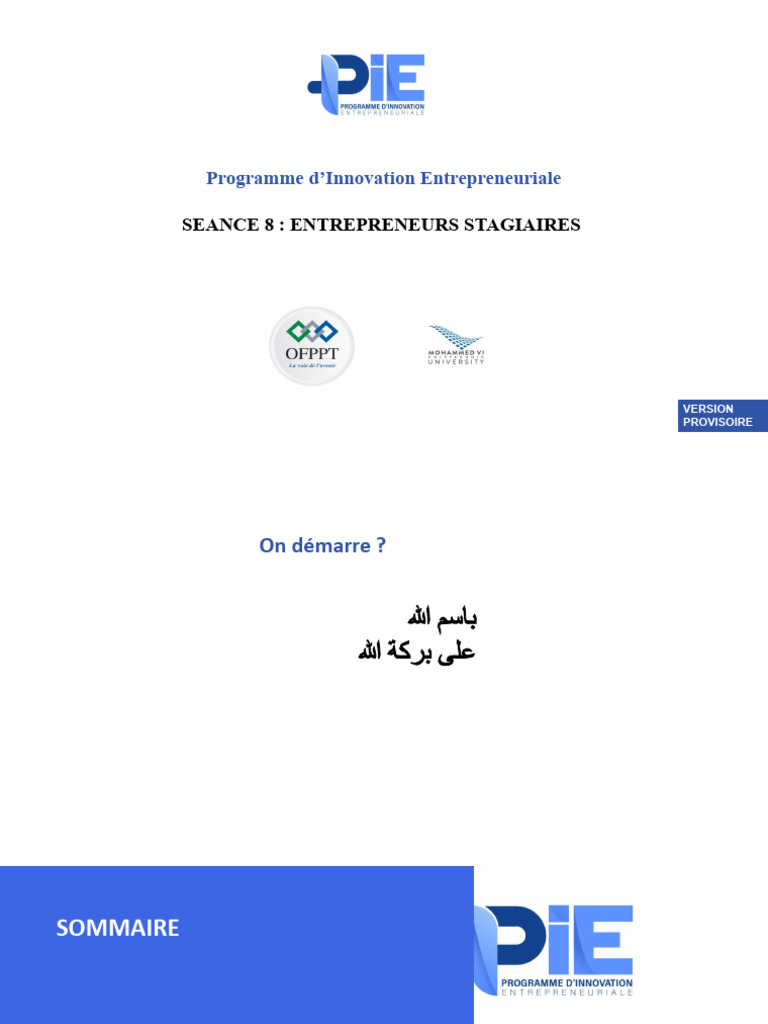 PIE - A1-P1 - Séance 8 El Hadioui Khalid | PDF | Évolution de carrière