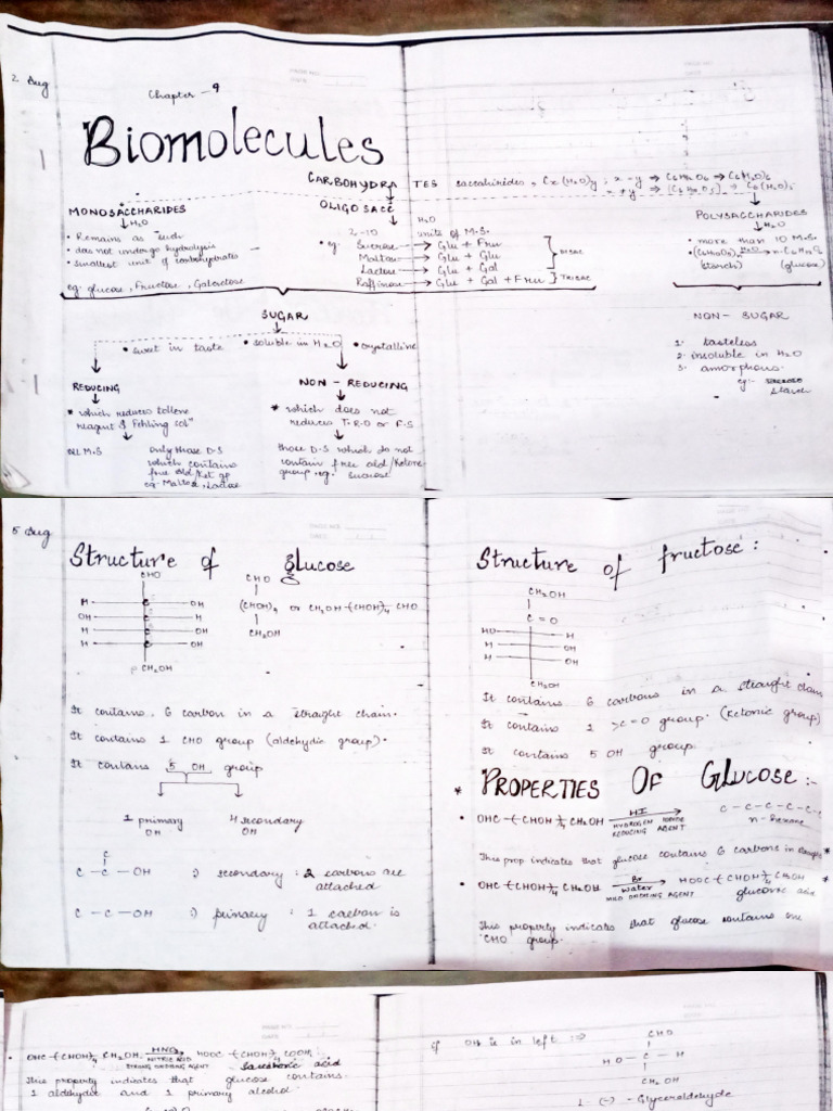 Biomolecules Handwritten | PDF