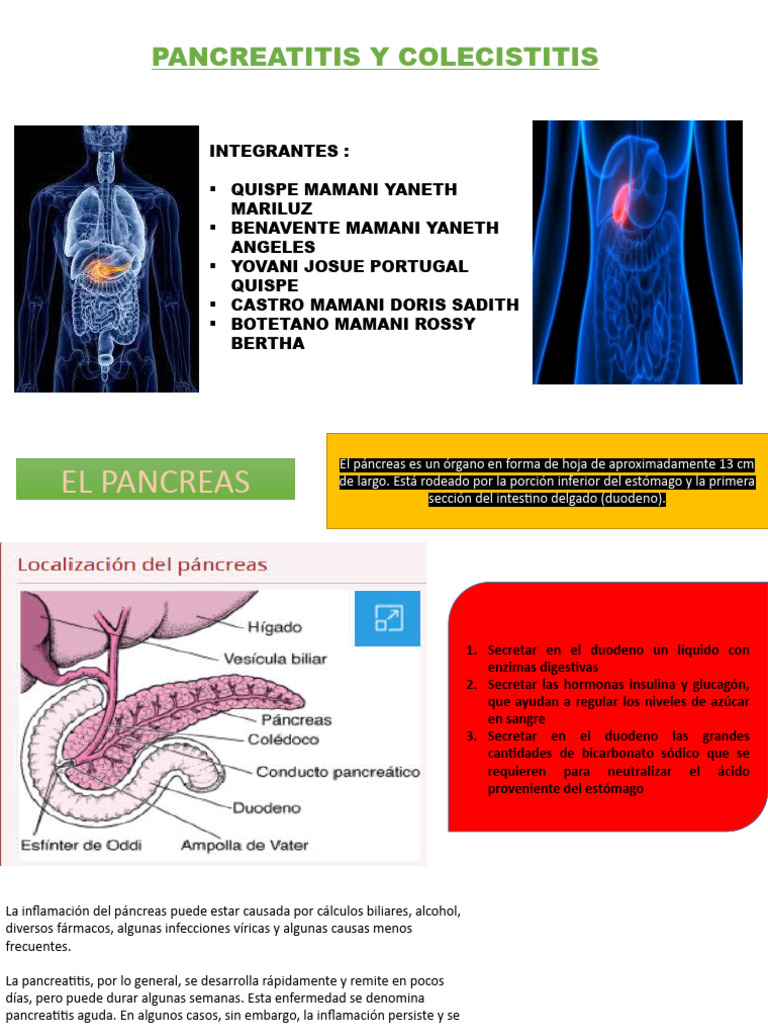 Panc Ratitis. Hoy | PDF | Páncreas | Digestión