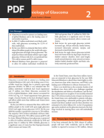 Glaucoma Coding Guidelines and Examples | PDF | Visual Impairment ...