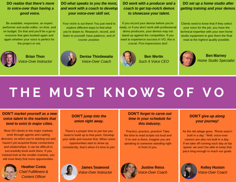 Must Knows of Voice Over | PDF