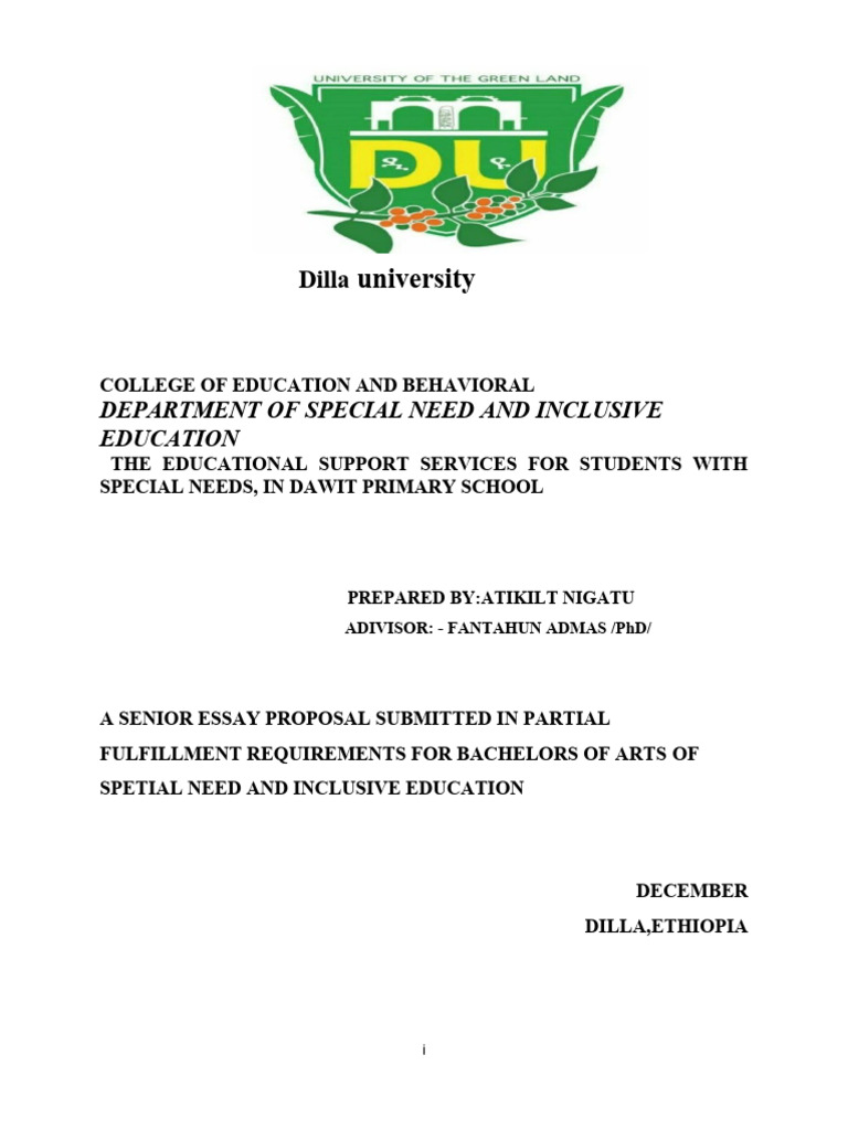 Atikilt Proposal | PDF | Children's Rights | Special Education