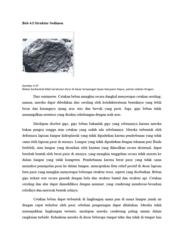 Chapter 4 I Sedimentary Structures | PDF