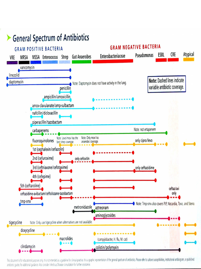 Antibiotic Spectrum | PDF