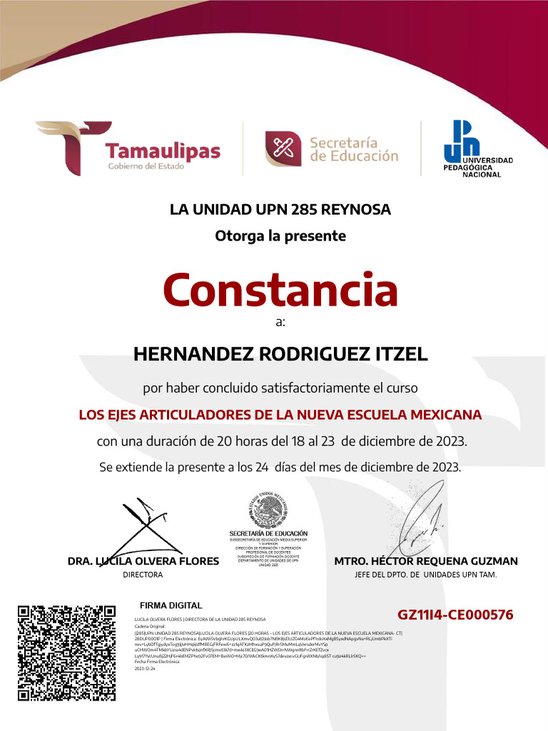 Constancia UPN 285: Ejes Articuladores | PDF