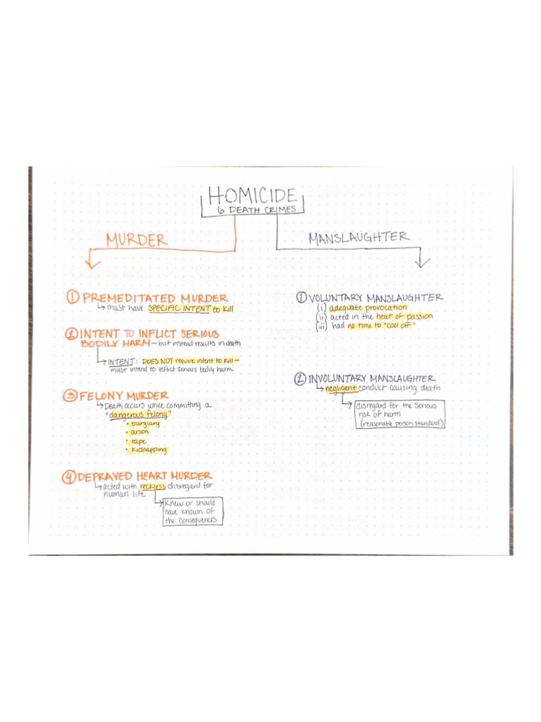 HOMICIDE | PDF