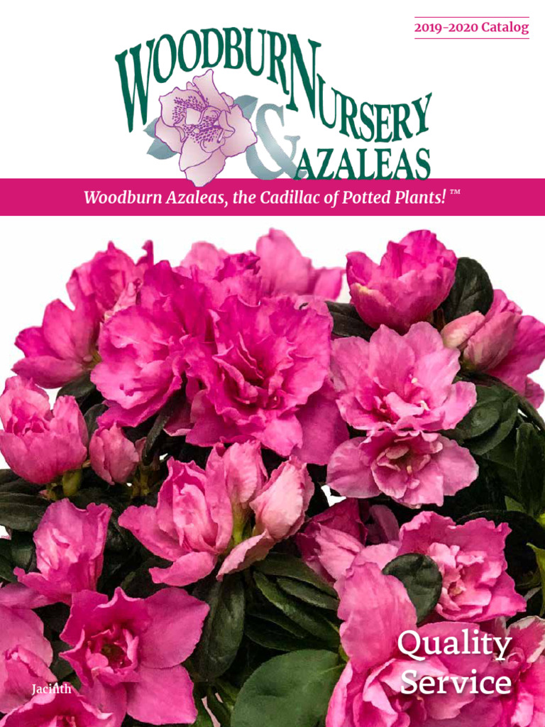 2019-20 Azalea Web | PDF