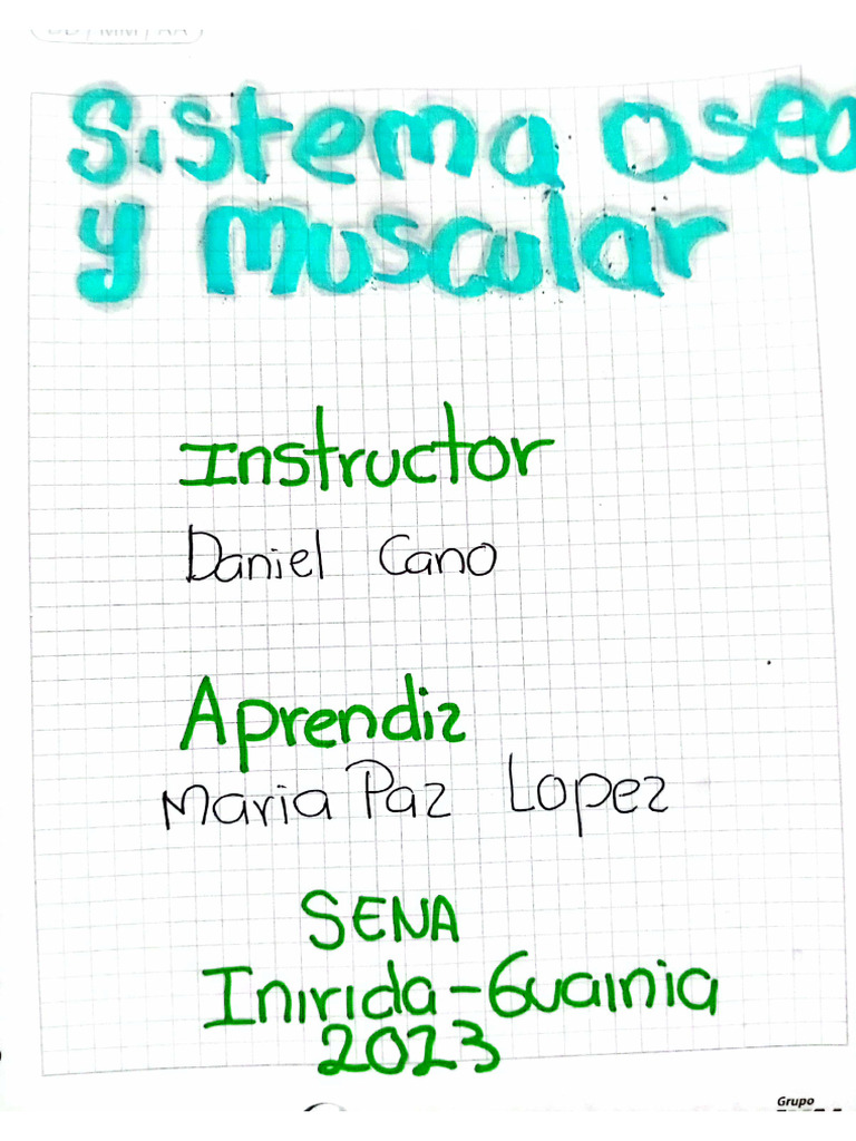 Sistema Oseo y Muscular | PDF