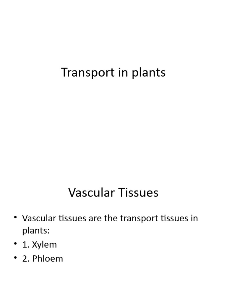 Chapter 8-Transport in Plants | PDF | Leaf | Physiology