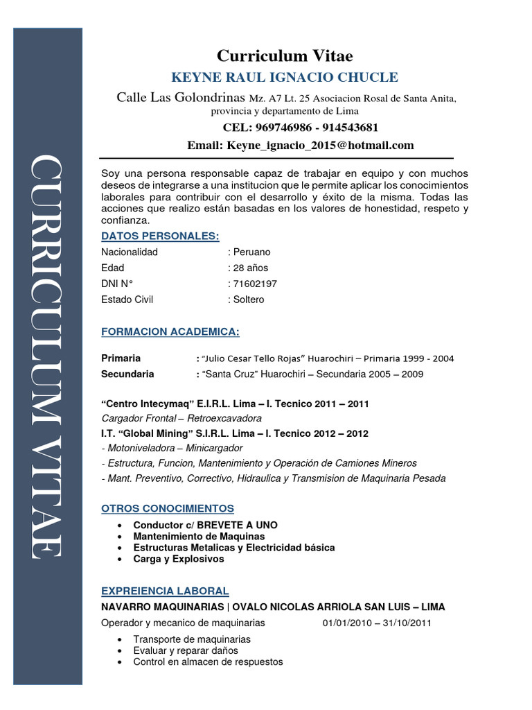 Curriculum Keyne Raul Ignacio Chucle | PDF