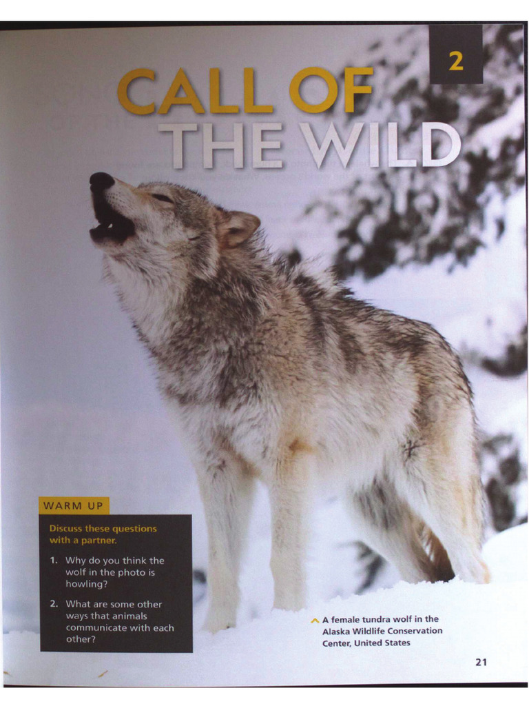 Reading Explorer - Unit.2 | PDF