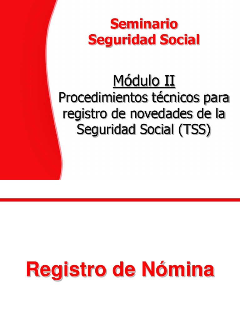 Registro y Procedimientos TSS | PDF | Salario | Business