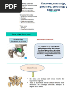 2.2 Genu Valgo y Varo | PDF | Rodilla | Anatomía del miembro inferior