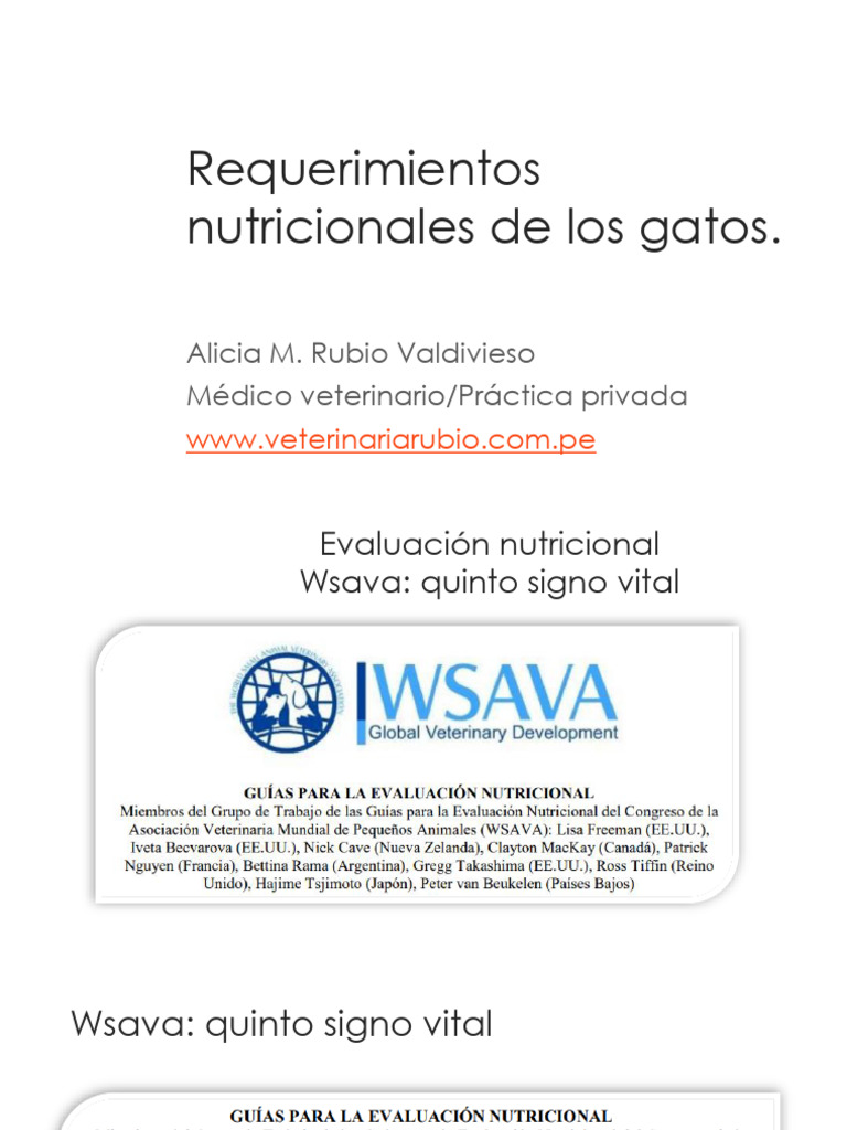 05 Requerimientos Nutricionales de Los Gatos | PDF 05 Requerimientos Nutricionales de Los Gatos | PDF
