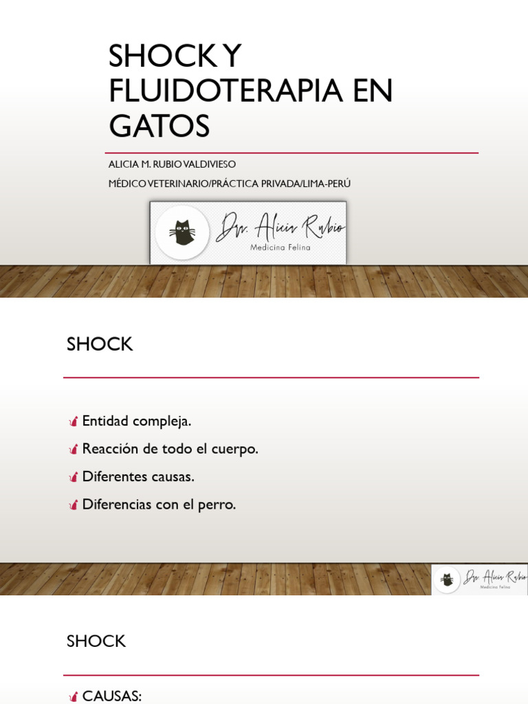 06 Shock y Fluidoterapia en Gatos | PDF