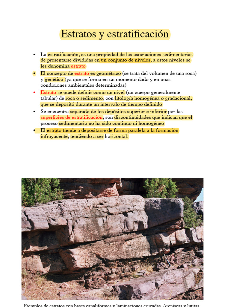 04 Estrato Relaciones | PDF | Ciencia y matemáticas