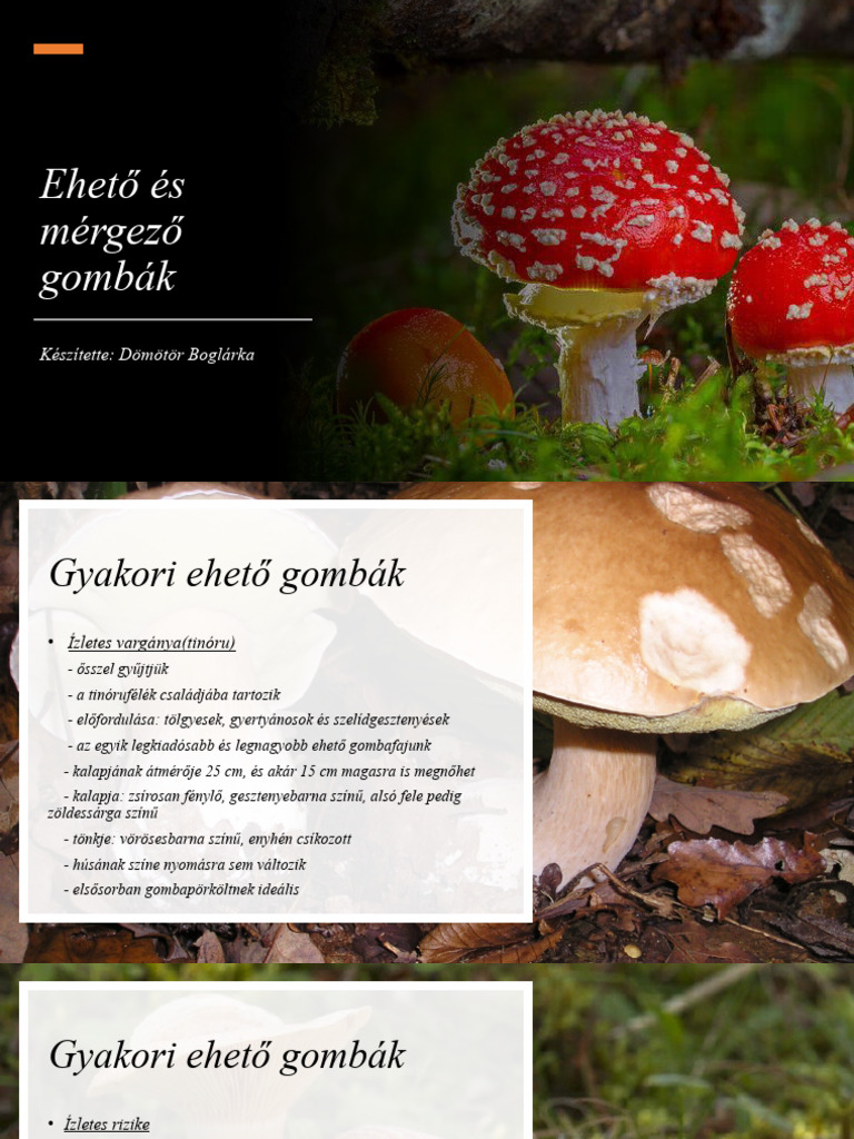 Ehető És Mérgező Gombák | PDF