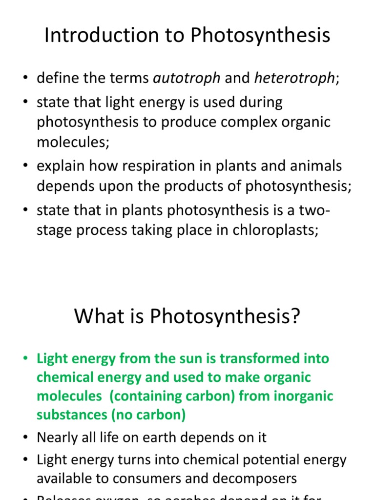 A2 4 3 1 Introduction To Photosynthesis | PDF | Photosynthesis ...