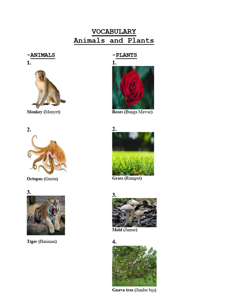 VOCABULARYAnimals and Plants | PDF | Science & Mathematics