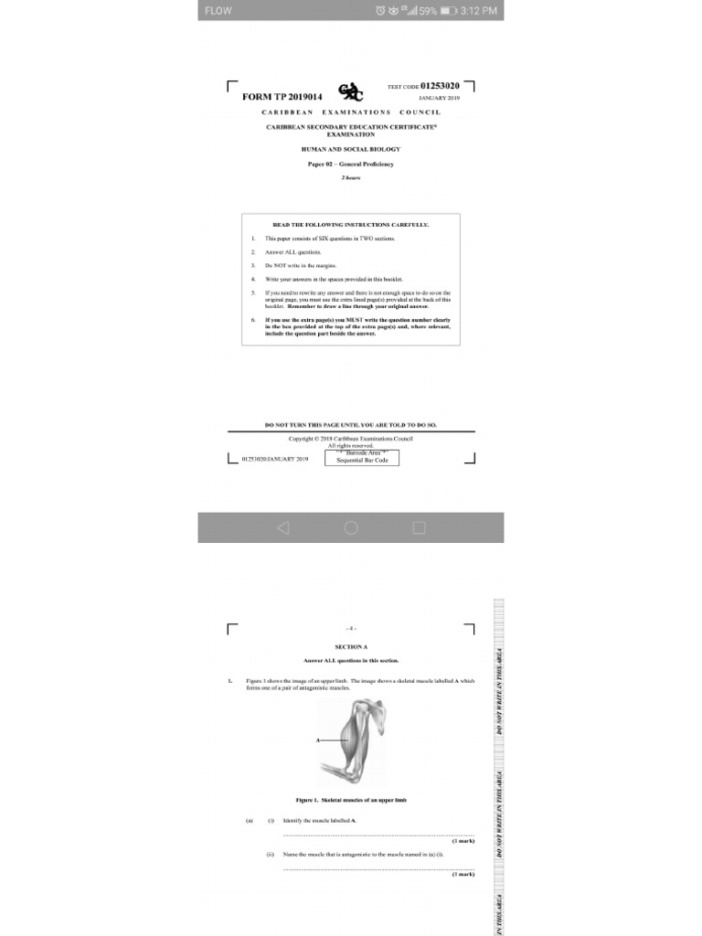 HSB - Jan 2019 | PDF