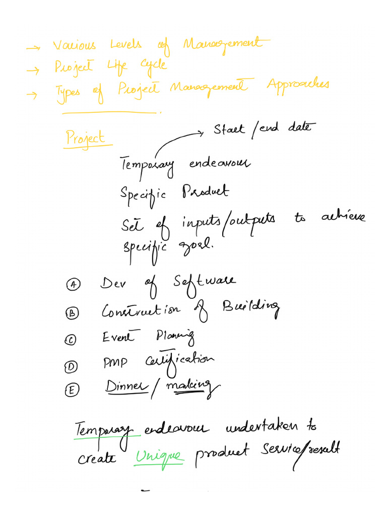 Project Vs Program | PDF