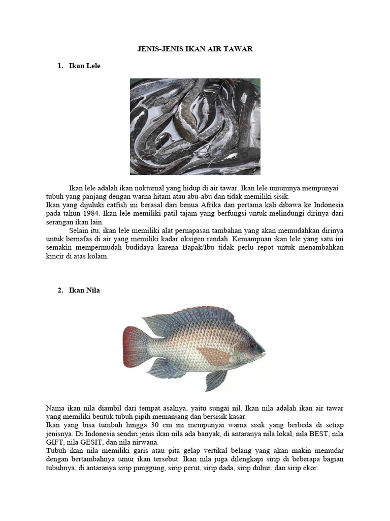 Jenis-Jenis Ikan Air Tawar | PDF