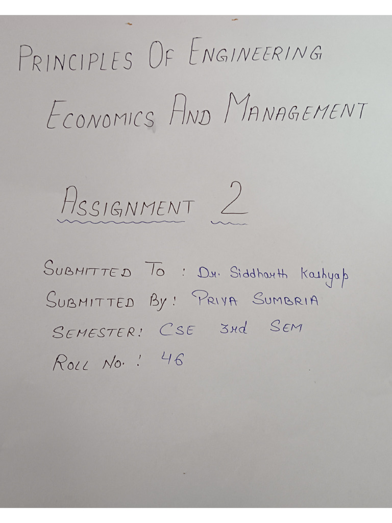 PEEM Assignment 2 | PDF