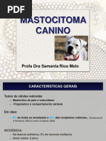 IRIS - Pocket - Guide - To - CKD - 2023 TRADUZIDO | PDF | Creatinina ...