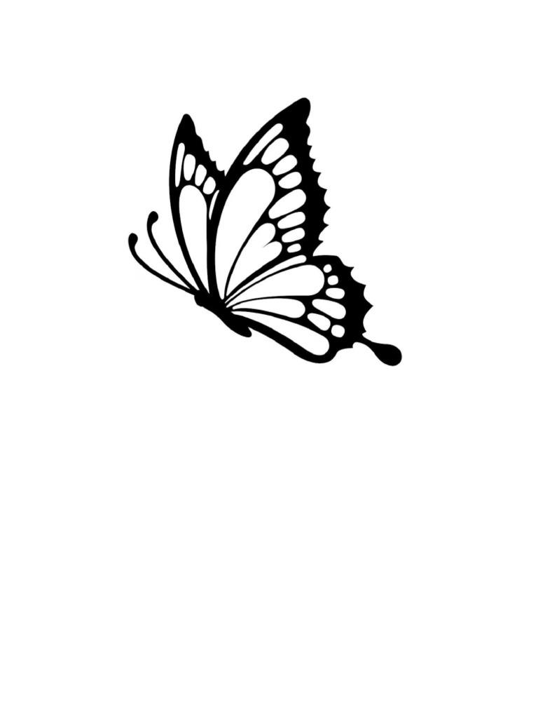 Butterfly | PDF