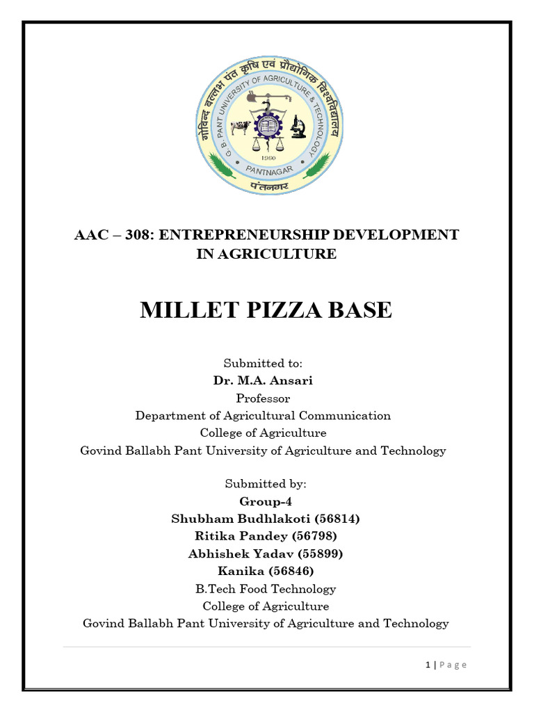 Group-4 Millet Pizza Base PDF | PDF | Breads | Dough
