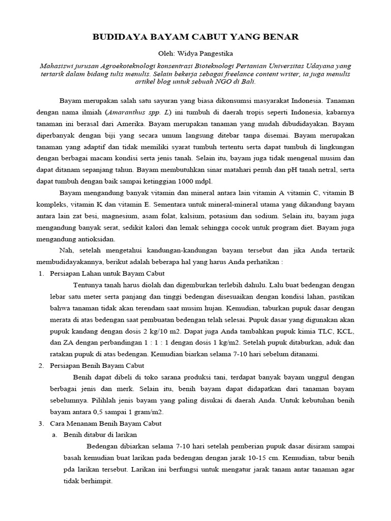 Budidaya Bayam Cabut Yang Benar | PDF