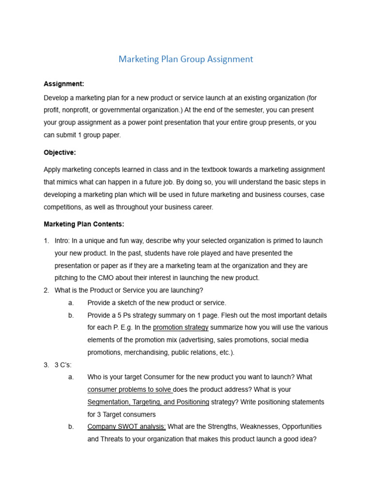 Group Assignment Marketing Plan Instructions | PDF | Marketing | Retail