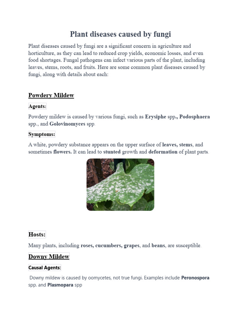 Plant Diseases Caused by Fungi | PDF