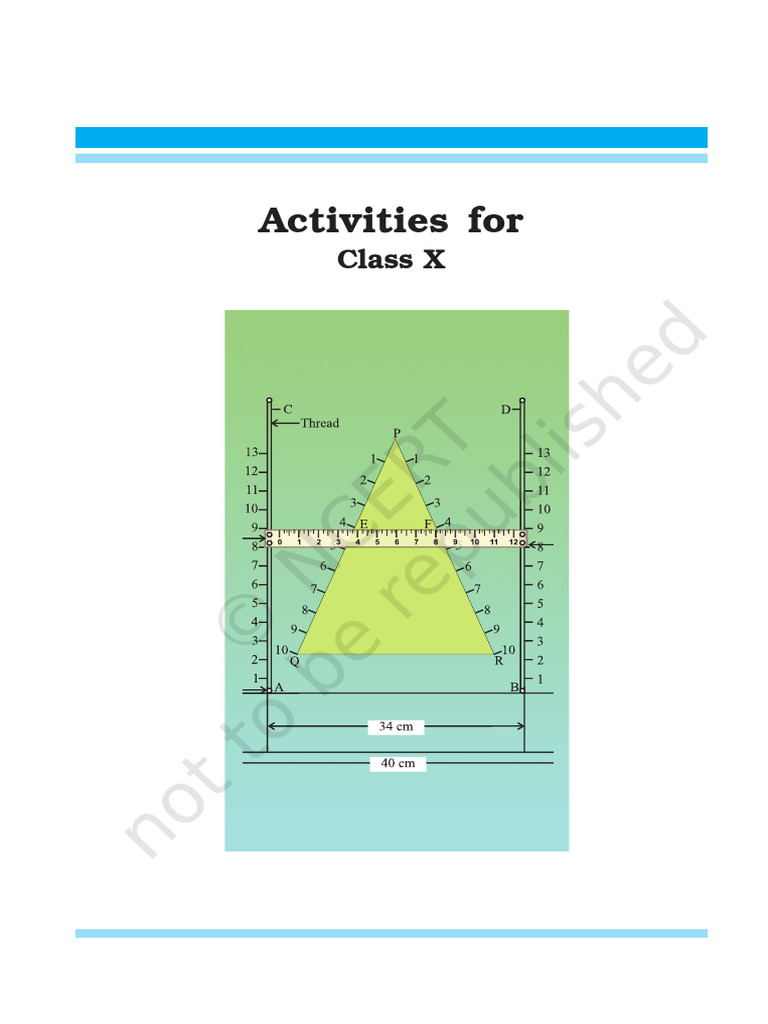 Activity X Maths | PDF | Mathematics | Geometry