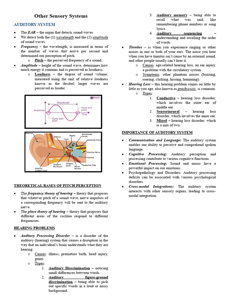 Summary Notes For Other Sensory Systems | PDF | Perception | Senses