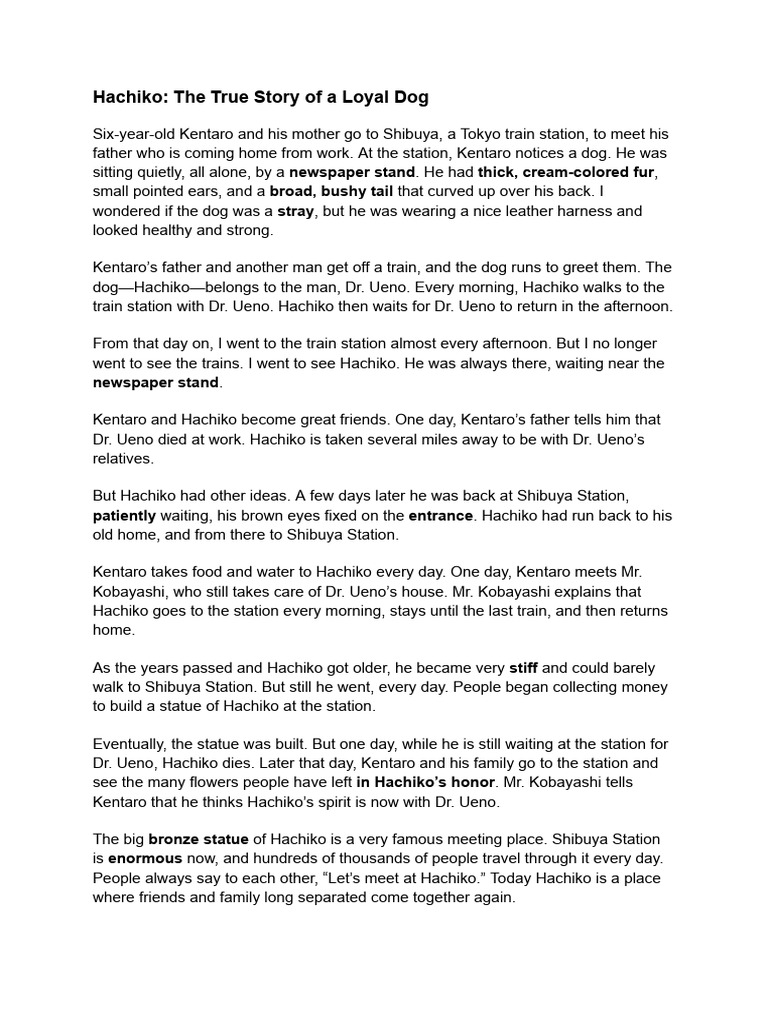 Hachiko - Summary + Translation (Vietnamese) | PDF | Dog Sports | Dogs