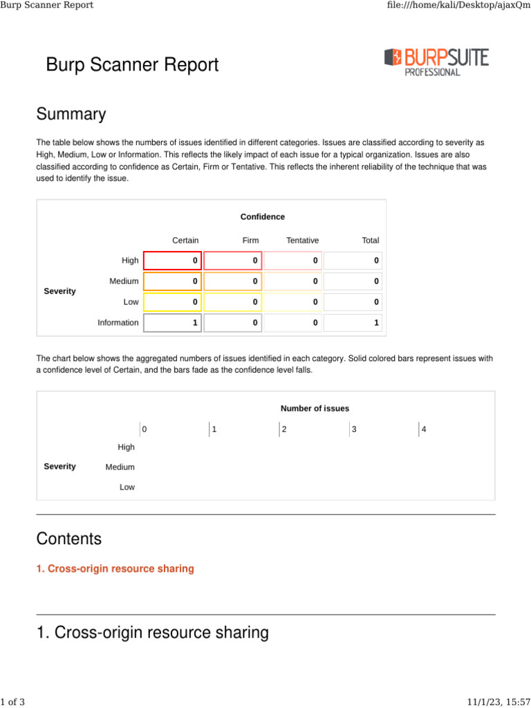 Burp Scanner Report | PDF | Software Engineering | Computer Engineering
