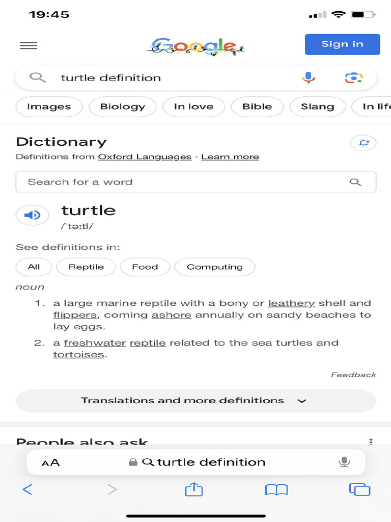 Turtle Definition - Google Search | PDF