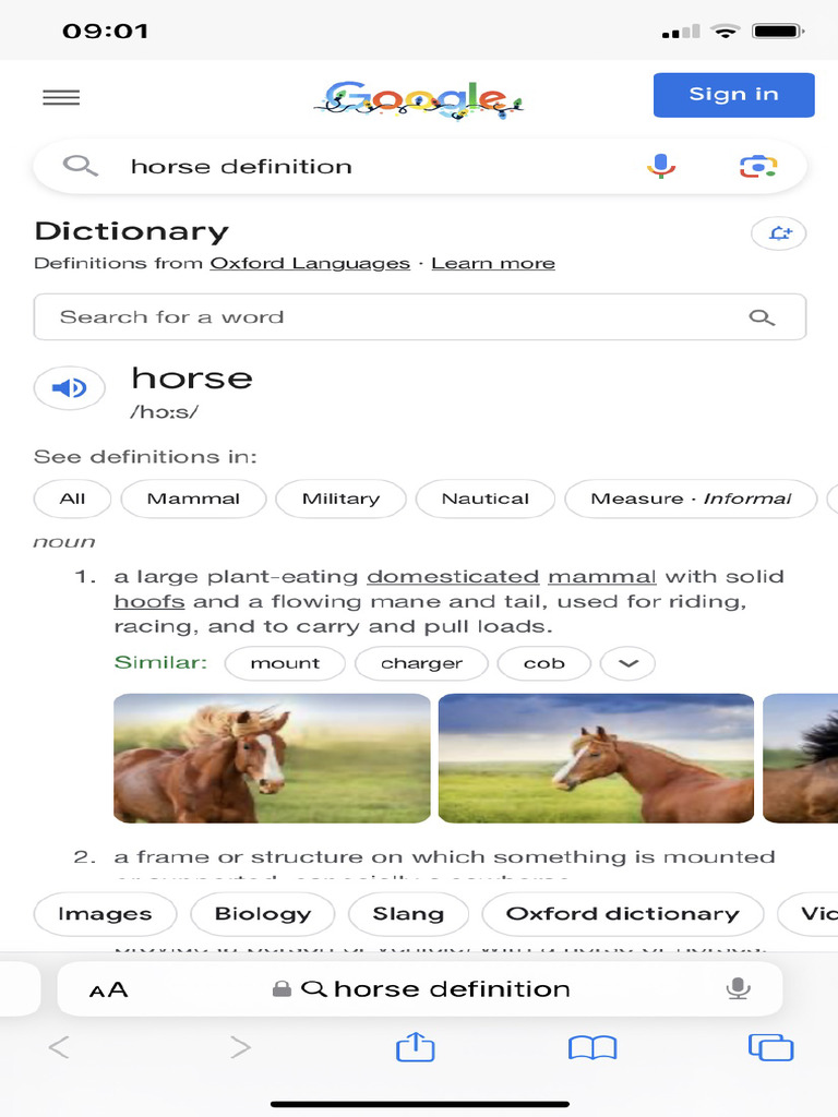 Horse Definition - Google Search | PDF
