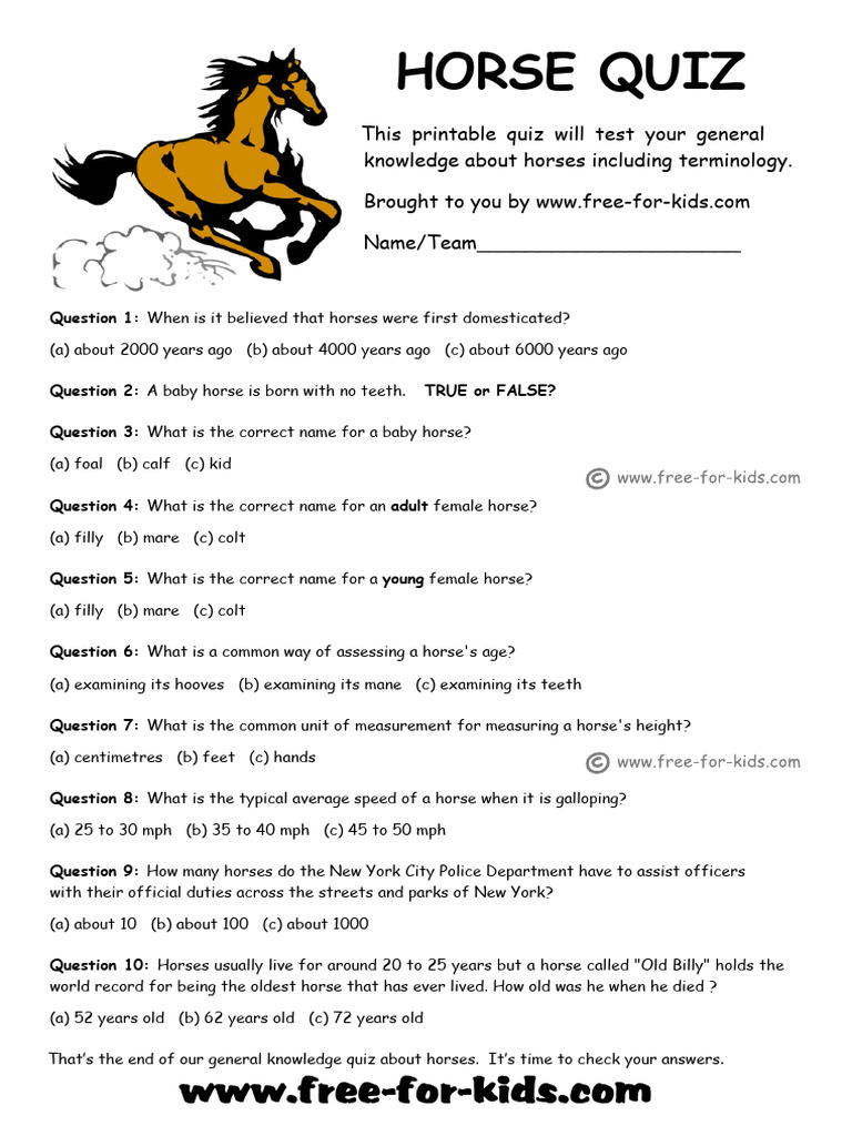 Childrens Quiz About Horses | PDF